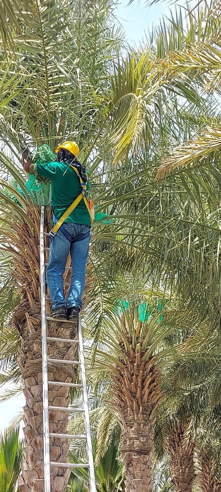 Zahran Maintenance and Operation conducts its business with Jewel ...